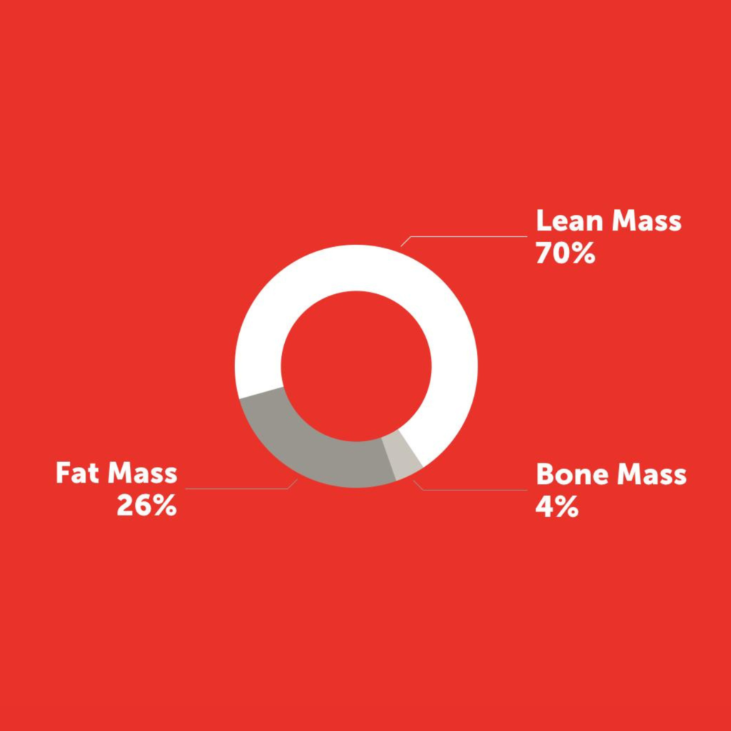 Styku 3D Body Scanner - Holistic Nutrition Nut